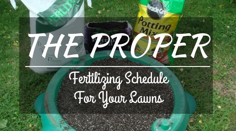 The Proper Fertilizing Schedule For Your Lawns | My Greenery Life