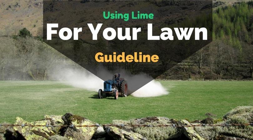 Using Lime For Your Lawn Guideline | My Greenery Life