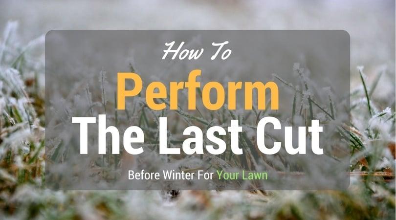 How To Perform The Last Cut Before Winter For Your Lawn | My Greenery Life