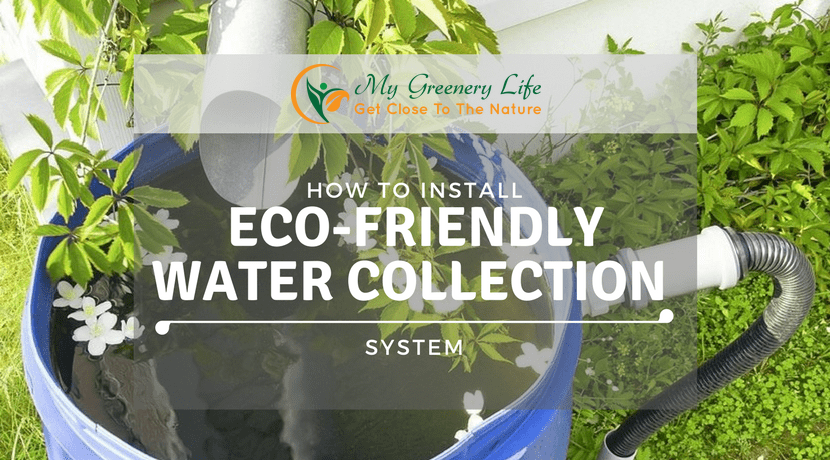 How to Install Eco-friendly Water Collection System | My Greenery Life
