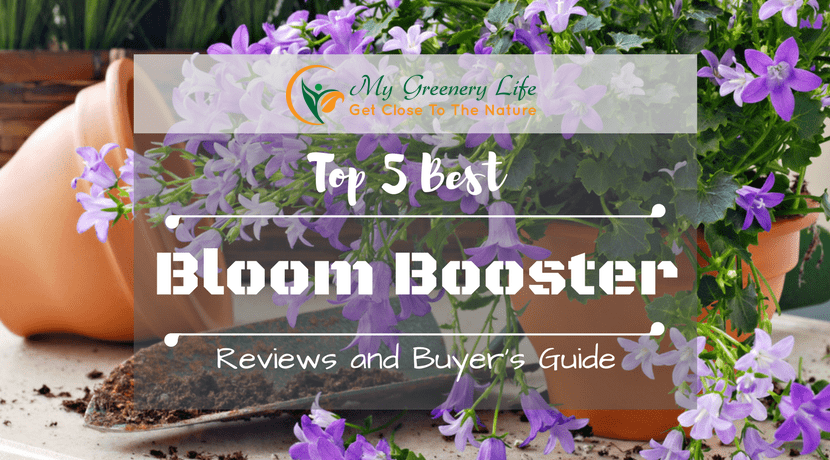 [TOP 5] Best Bloom Booster Reviews 2021 and Buyer's Guide