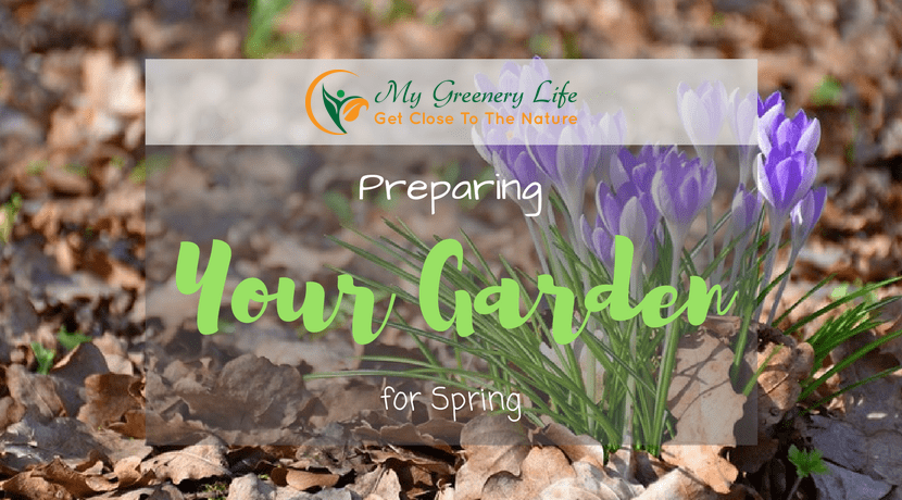 Preparing Your Garden For Spring | My Greenery Life