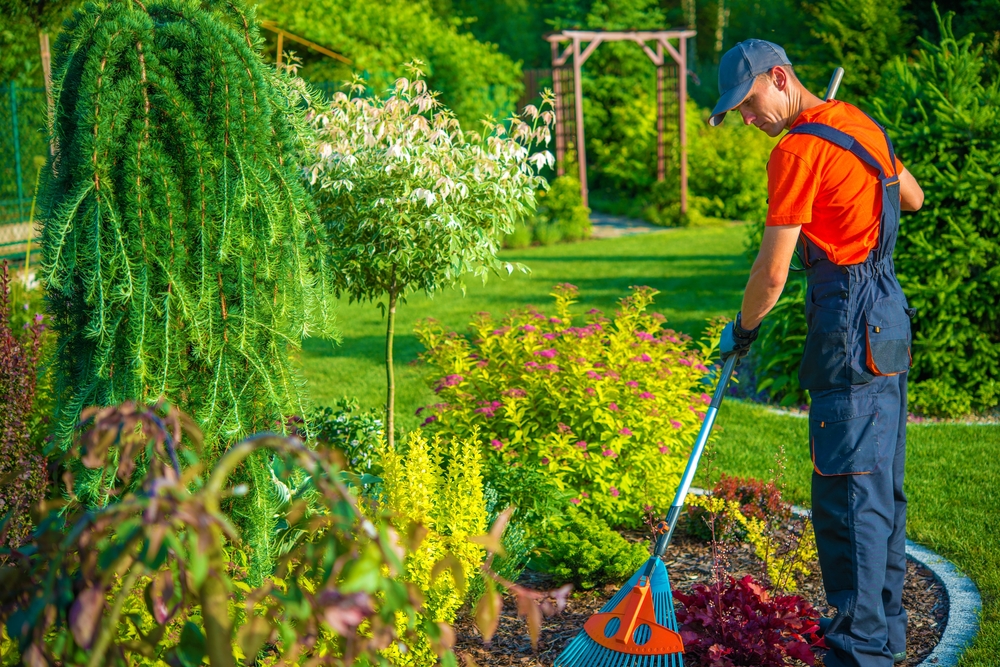 Beautification of The Homes with The Help of The Expert Landscapers