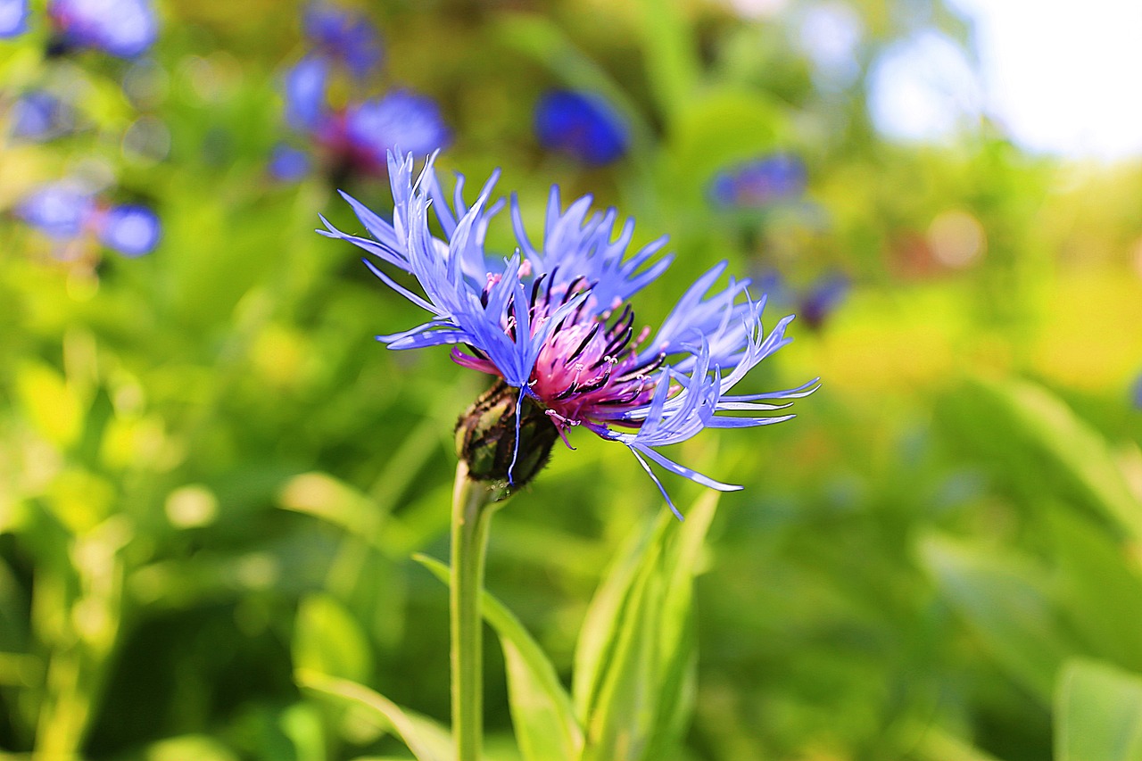 8 Tips On How To Go Green The Easy Way