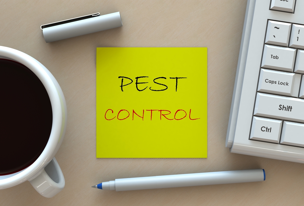 Signs You Have A Pest Infestation in Your Office | My Greenery Life