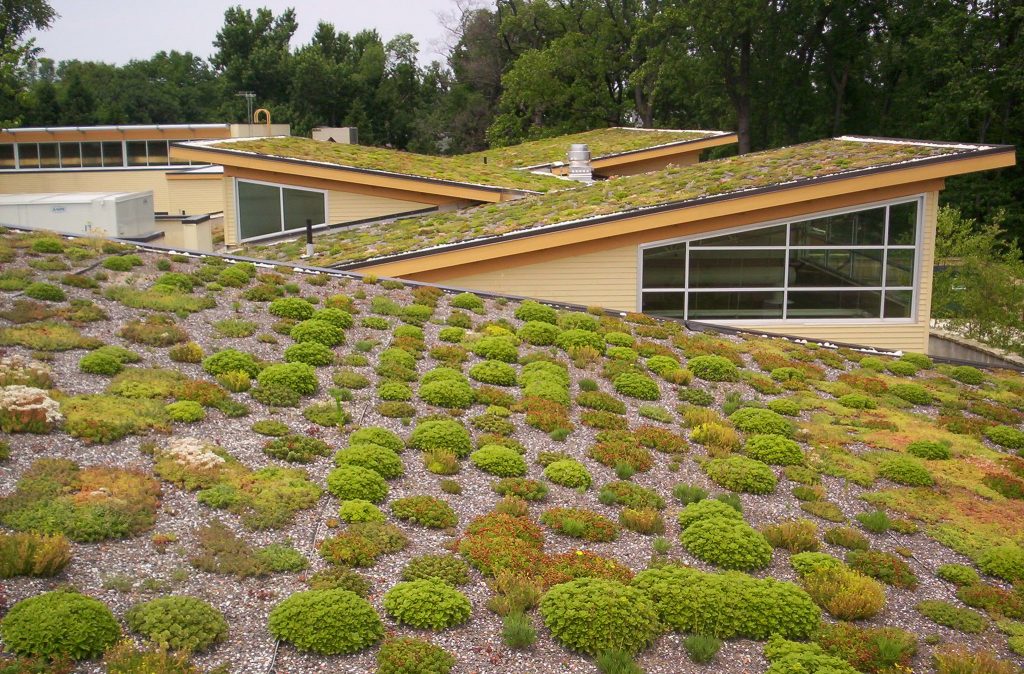 Eco-Friendly Options for Going Green with your Roof | My Greenery Life