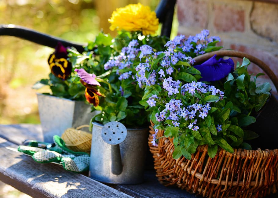 Planning Your Spring Gardening Efforts | My Greenery Life